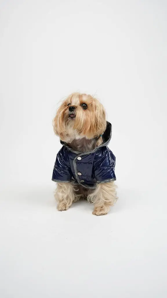 Paws & Whiskers Odelo za pse Moncler, Indigo