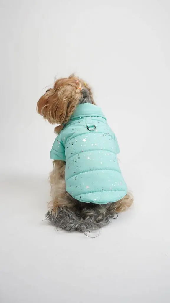 Paws & Whiskers Odelo za pse Angel Glow Coat, Plavo