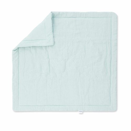 Muslin - Mint Mint Baby Blanket