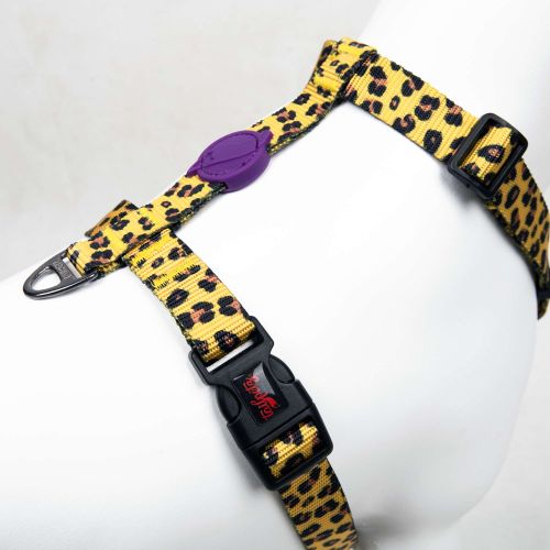 Leopard Multicolor Pasji Ogrlica
