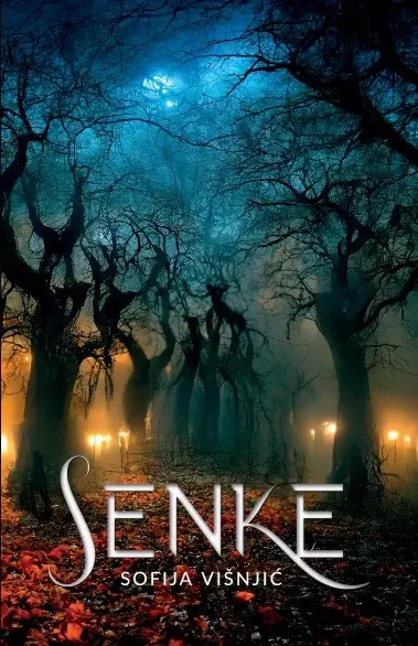 Senke
