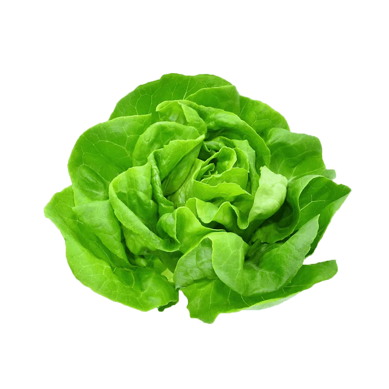 Salata puterica 1kg