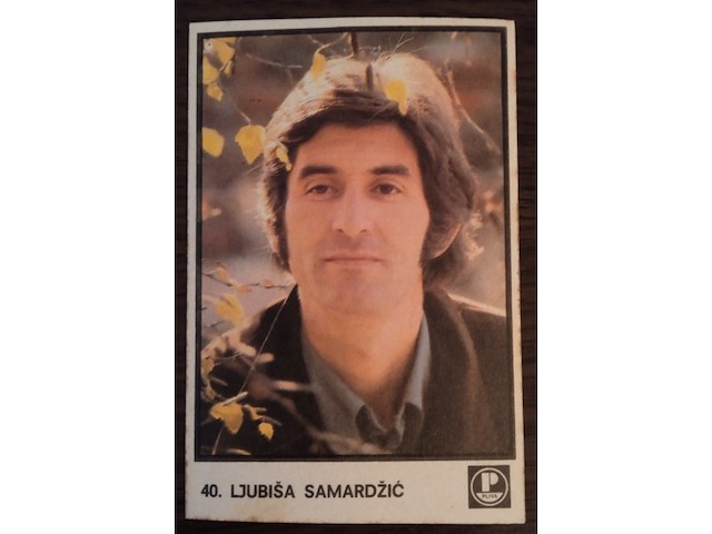 Ljubiša Samardžić (Tin i Tina)