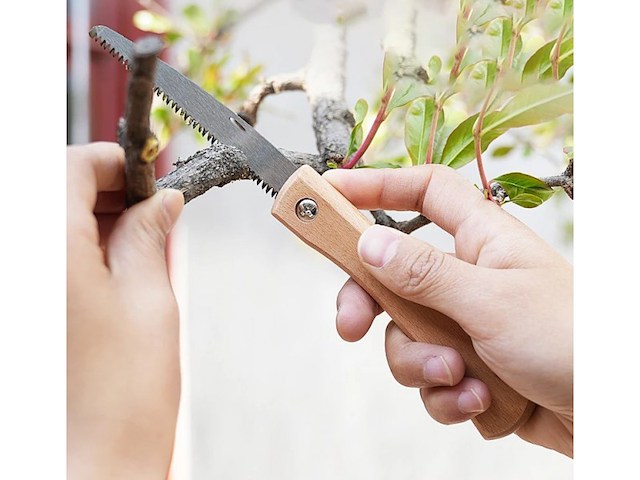 Mala kamperska testera za grane