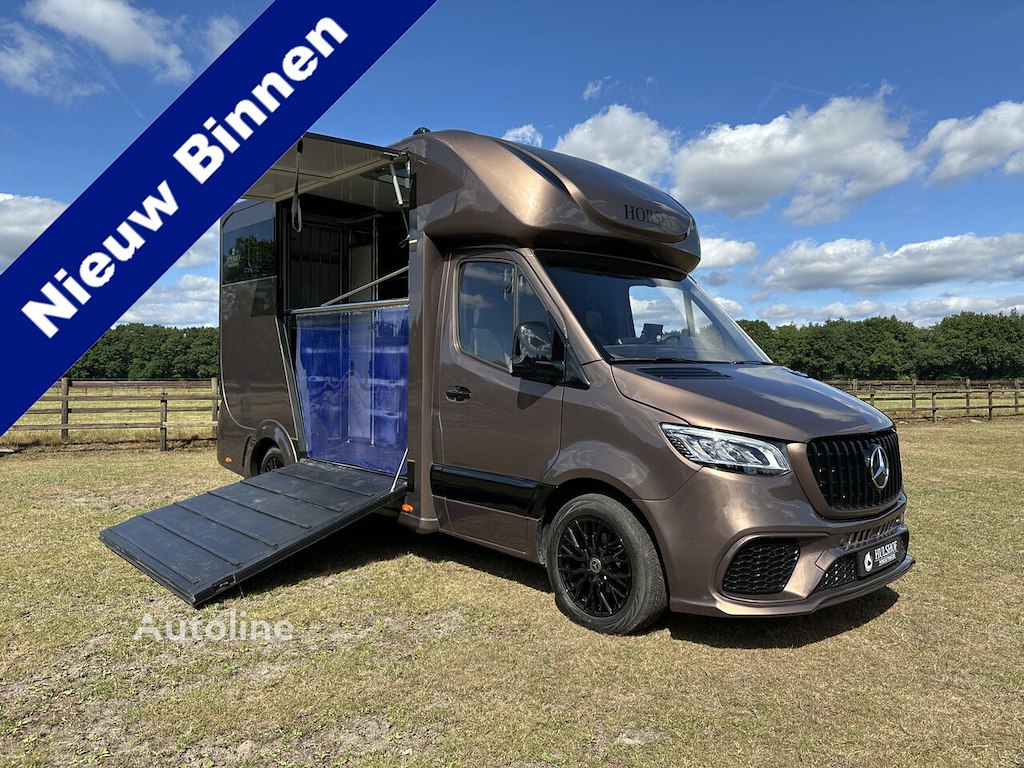 Mercedes-Benz Sprinter 319 AMG 2-paards paardenvrachtwagen vozilo za prevoz konja