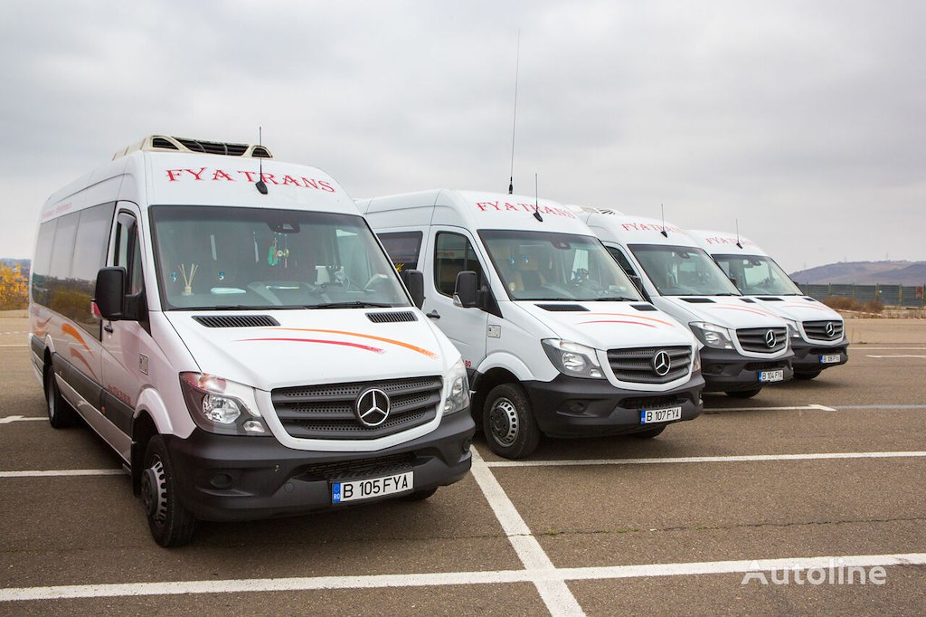 Mercedes-Benz Sprinter 516 putnički minibus