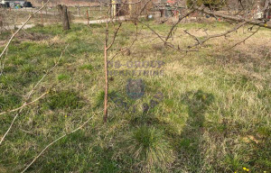 Prodajem Zemljište, Sremska Kamenica, Novi Sad Okolica