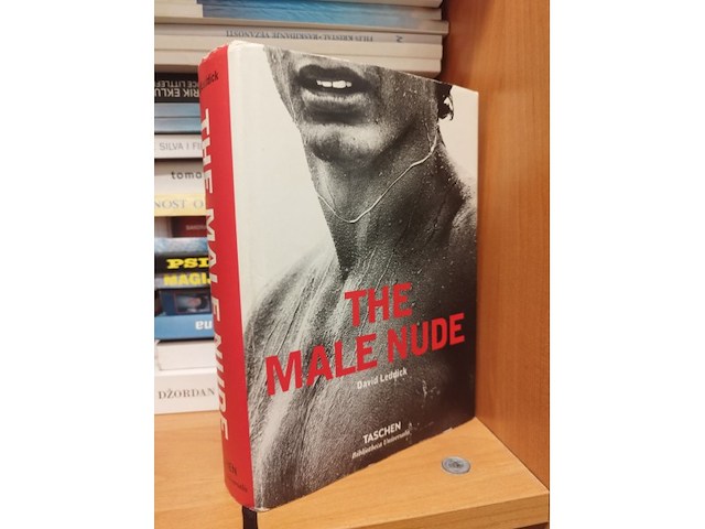 The male nude - David Leddick