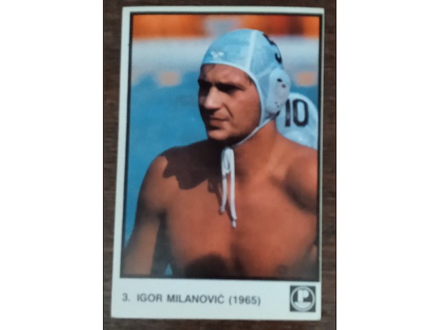 Igor Milanović (Tin i Tina)