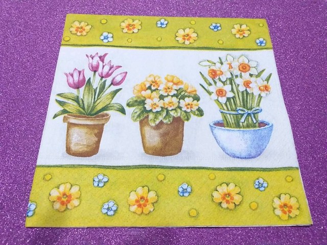 Salveta sa dve slike 33 x 33