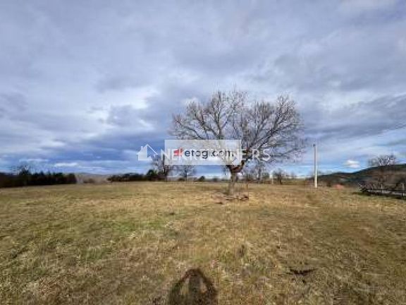 Plac, Zlatibor, 56 ari