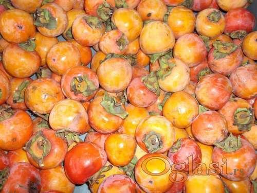 JAPANSKA JABUKA "KAKI" (Diospyros kaki) rezervacija sadnice za jesen