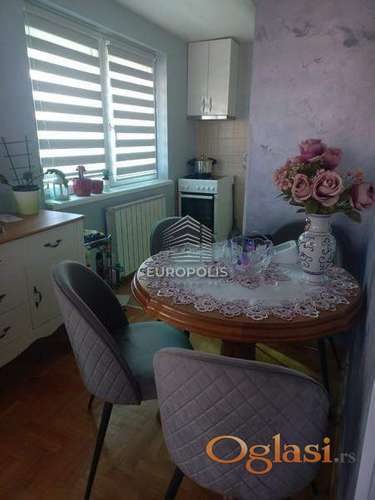 Oliverina, Učiteljsko naselje, Zvezdara ID#8122
