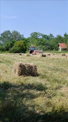Prodaja Seno i Detelina