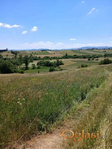Prodajem kuću i veliko imanje – Selo Uvac, zaseok Strainići (Sjenica)