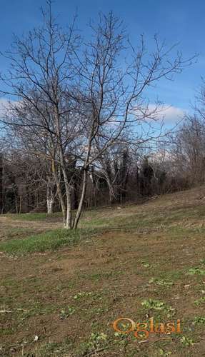 Atraktivan plac na Mišeluku, 500m od mosta Slobode!