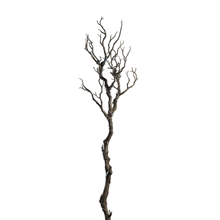 Leonardo UKRASNA GRANČICA FIORE 10,00/76,00/10,00 cm