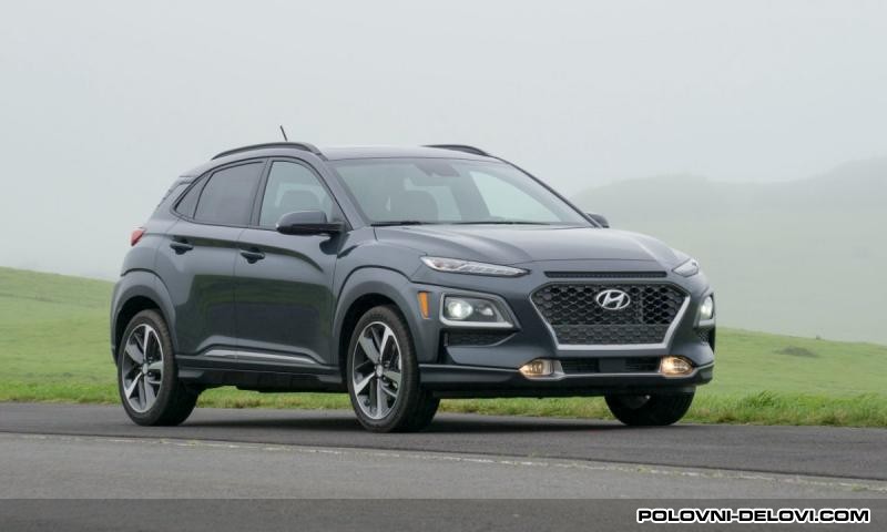 Hyundai Kona Trap I Vesanje