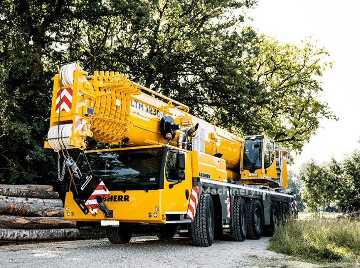 Liebherr LTM 1230-5.1 dizalica za sve terene