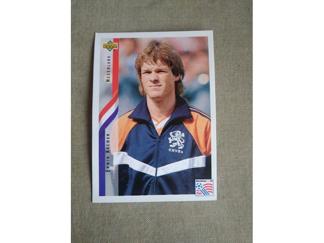 Slicice World Cup 1994 USA (Upper Deck) USA 94