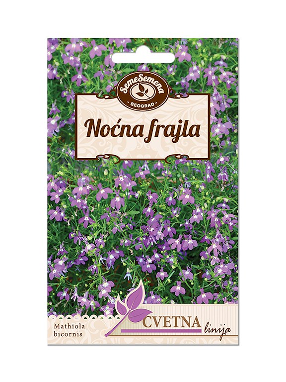 Noćna frajla
