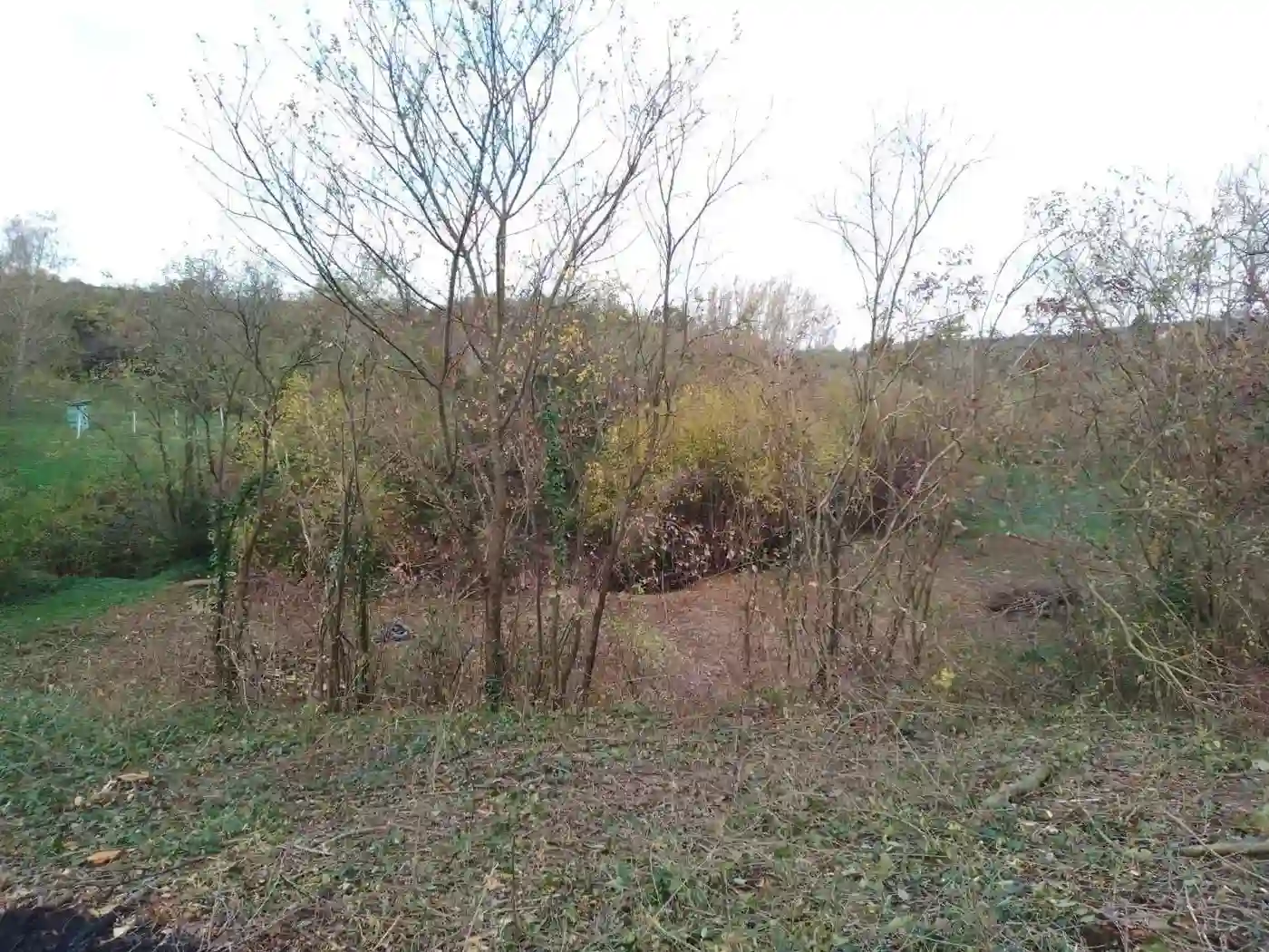 Vikend zona, Čerević