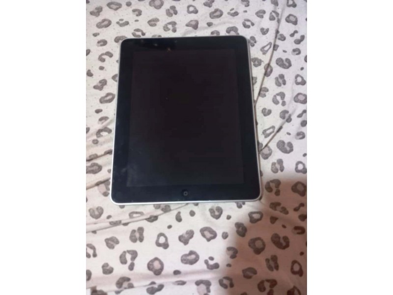 Apple iPad 16 g