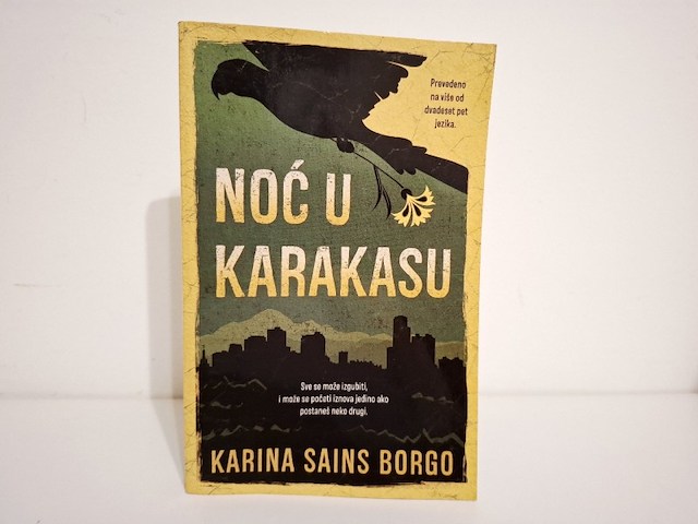 Noć u Karakasu - Karina Sains Borgo