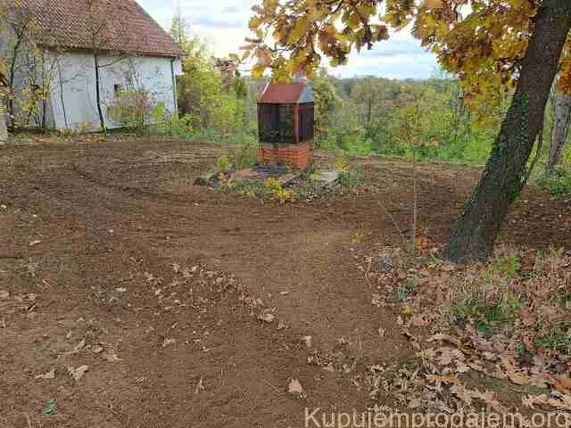 ♻️Uslužno freziranje i uredjenje dvorišta♻️