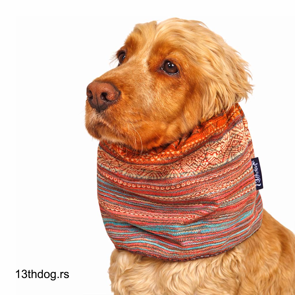 Snood za Pse, Orient