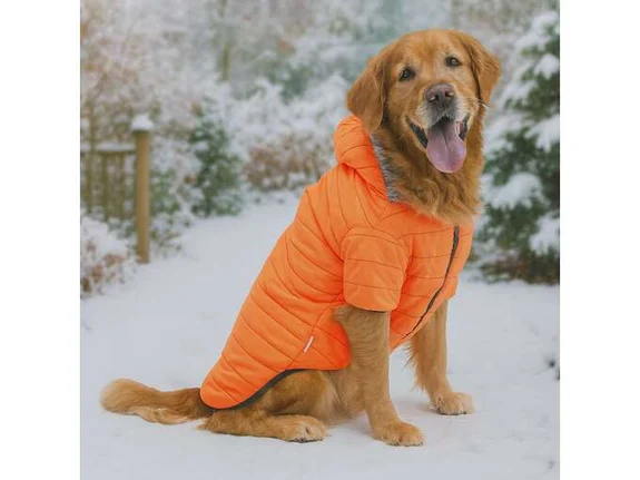 Evila Originals Duks za pse Orangecoat