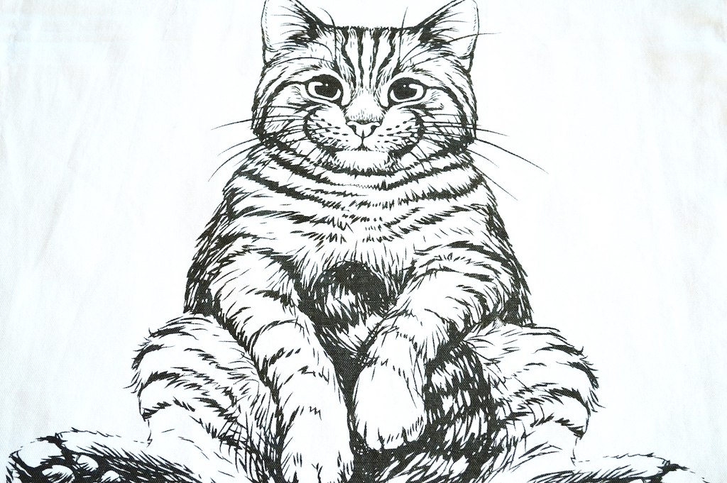 Kuhinjska krpa Cat 45x70cm