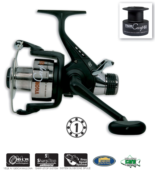 VIGOR CARP FS