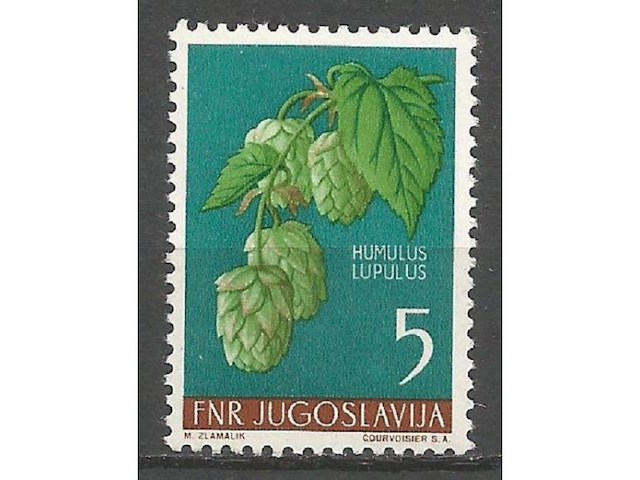 I Flora 5 din 1955.,čisto
