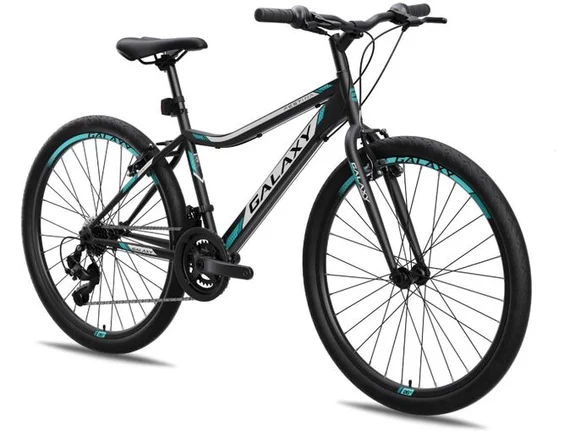 Galaxy Bicikl Festina 26/18 MAT