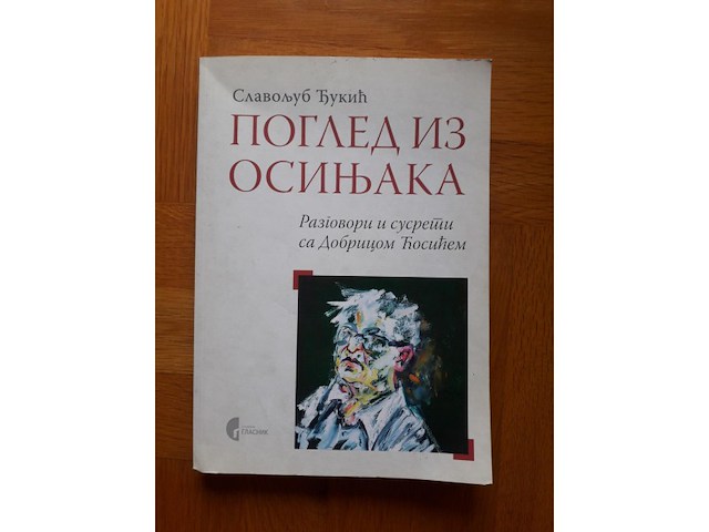 Pogled iz osinjaka - Slavoljub Đukić