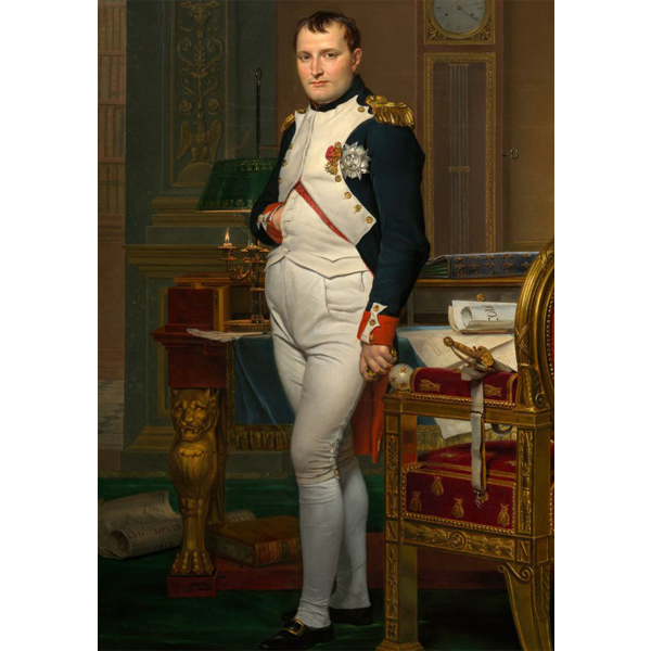 DToys puzzle David: The emperor Napoloen in his study 1000pcs 07/72719-02