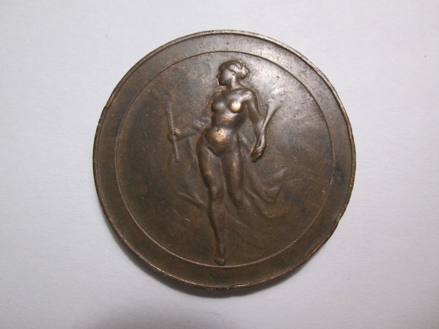 Spomen medalja matice Slovačke 1919.