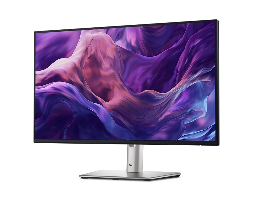 DELL 23.8 inch P2425H 100Hz Professional IPS monitor