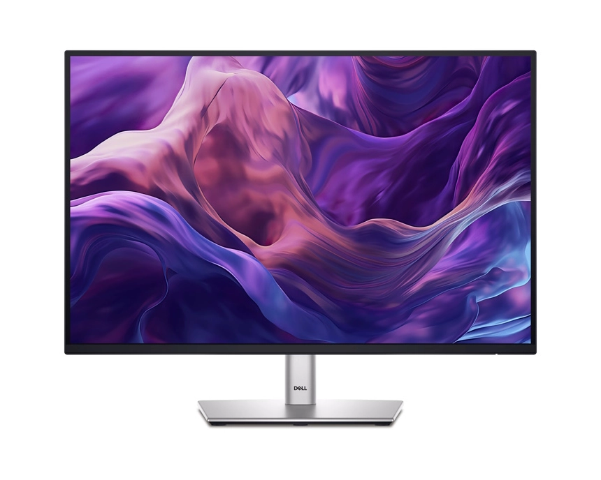 DELL 24 inch P2425 100Hz Professional IPS monitor