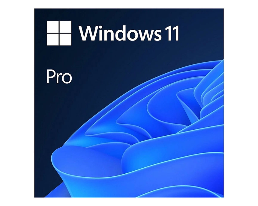 Software Windows 11 Pro Retail 64-bit Eng Intl USB 1PC HAV-00164