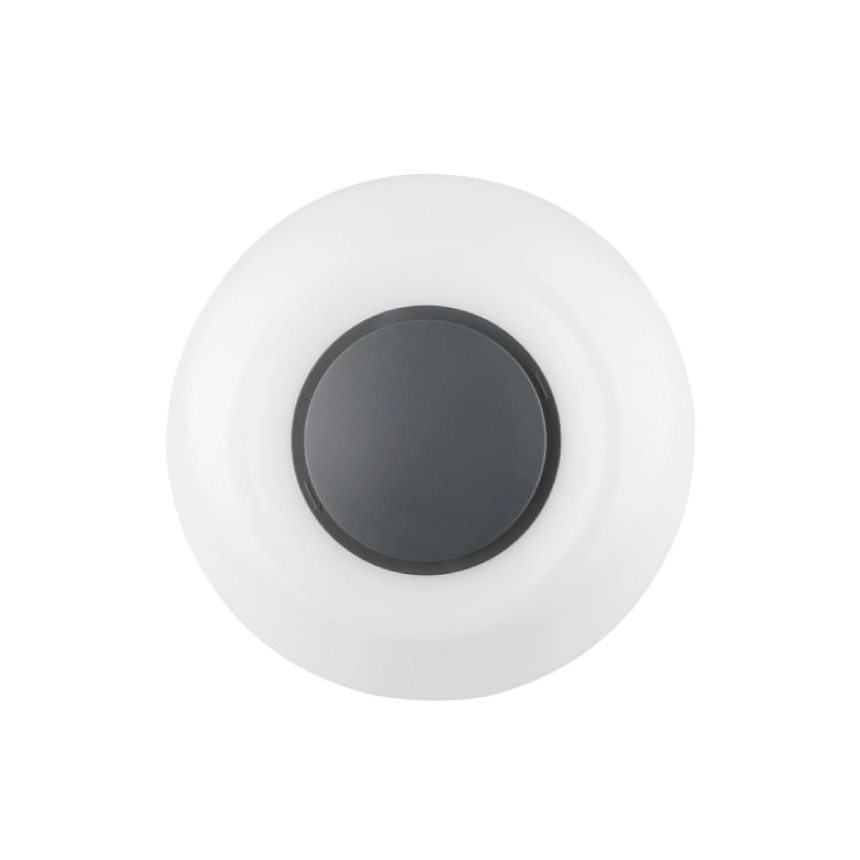 Zidna LED lampa 20/15/10W prom. boja svetla IP65 BL9