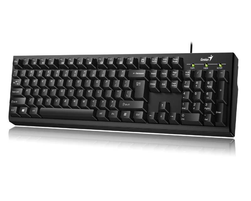 GENIUS KB-100 USB US Crna Tastatura
