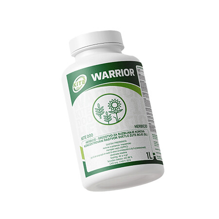 Warrior 1L