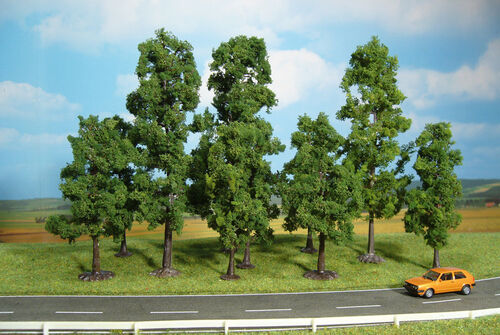 Heki 1323 Beech Trees 10 - 18 cm (10 pcs)