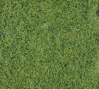 NEW! Heki 1870 Wild Grass Mat Meadow Green - 2 pcs (40 x 24 cm)
