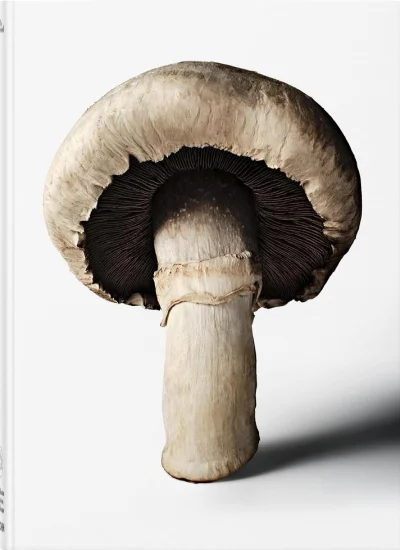 The Gourmand's Mushroom. A Collection of Stories and Recipes