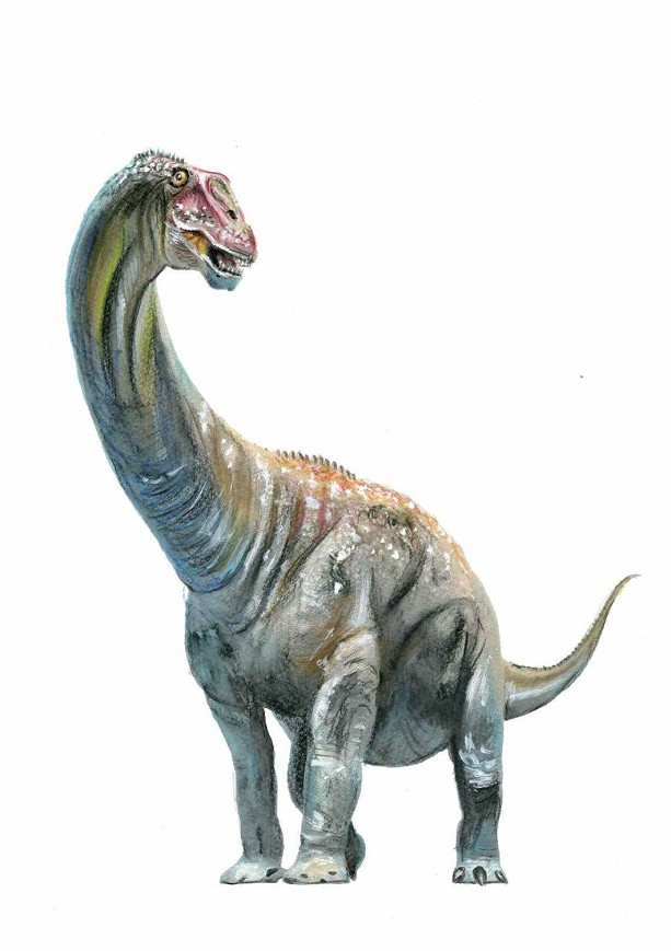 APATOSAURUS
