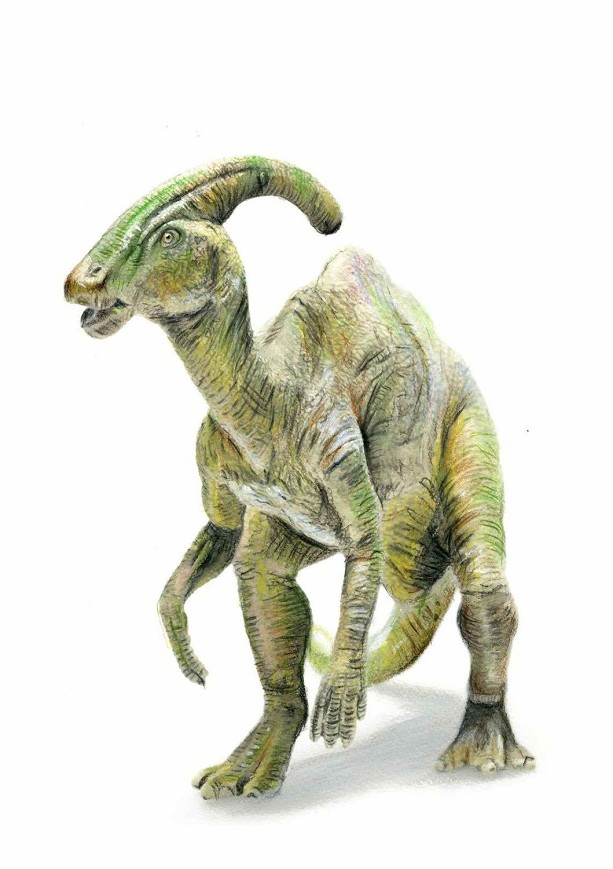 PARASAUROLOPHUS