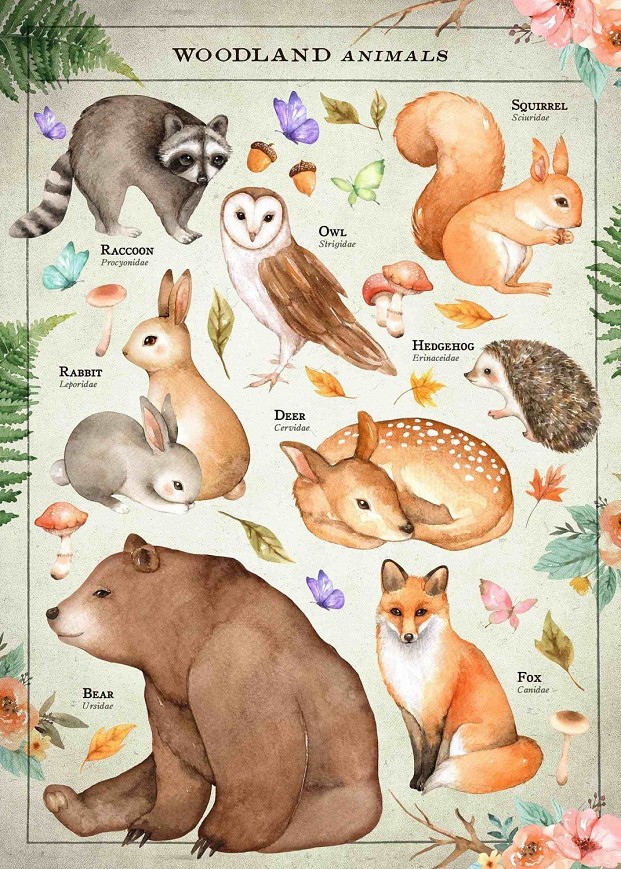 WOODLAND ANIMALS